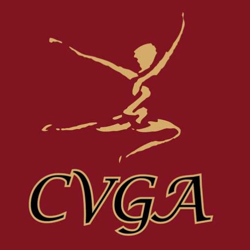 CENTRAL VERMONT GYMNASTICS ACADEMY – Gymnastic Classes, Competitive ...